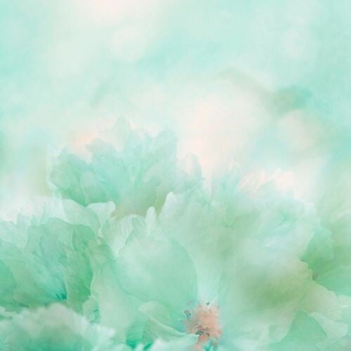 Health Coaching for Calm, Clarity & Energy | Colleen Bryant