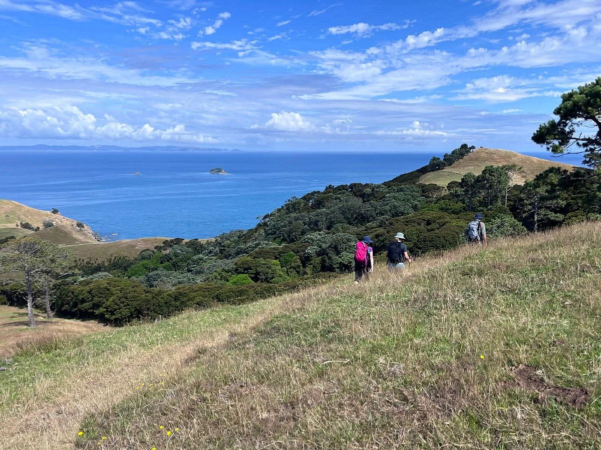 Training for your multi-day hike: A 12-week preparation plan | Nature ...