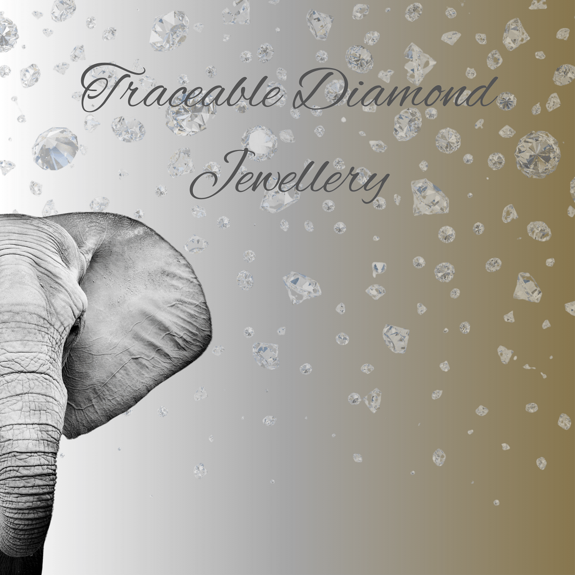 2026 - 2D - Diamond Jewellery - Tracr