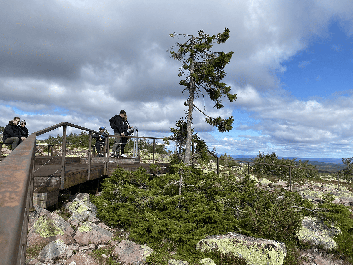 Ludlow Tuart Forest Restoration Group - One Tree Art Prize