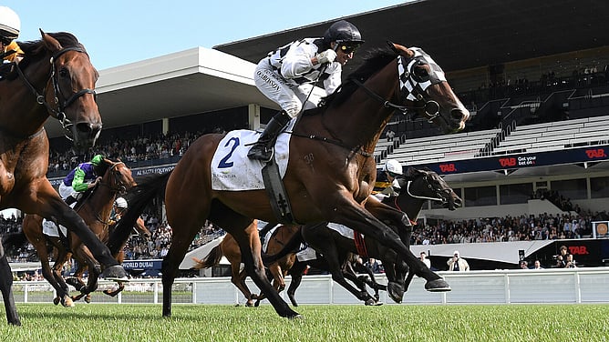 Tuxedo proves best dressed in Aotearoa Classic | New Zealand ...
