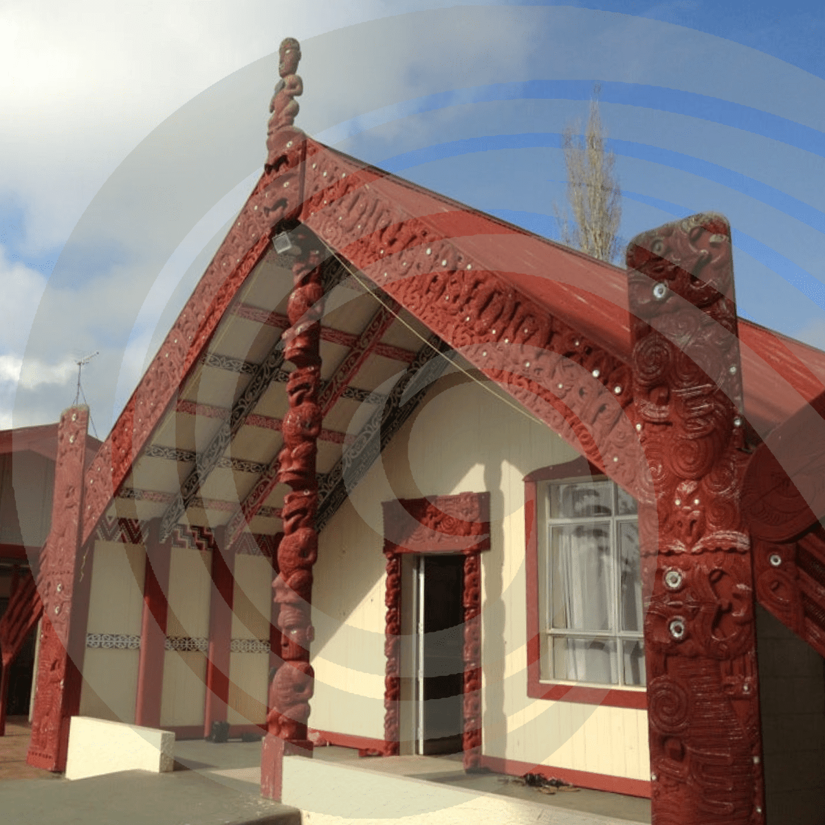 Our Work | Tapuika Iwi Authority