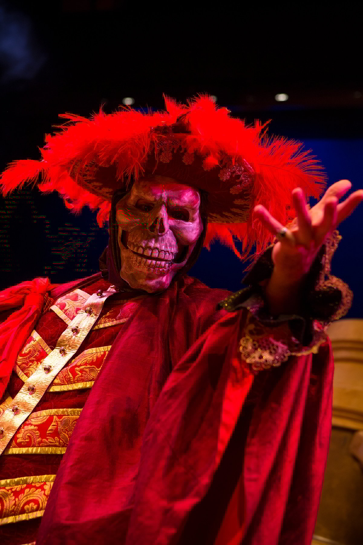 Musical Theatre Waikato | Hamilton Operatic Society