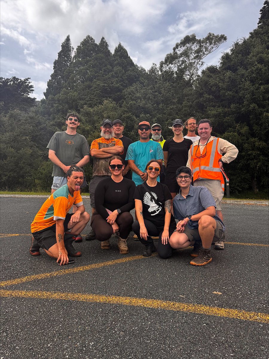 Native Afforestation Workshops Success | Manaaki Kaimai Mamaku