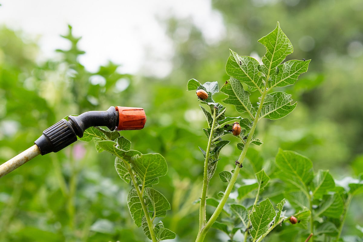 McHort | Gardening Fertilisers | Suppling NZ's Horticultural Industry