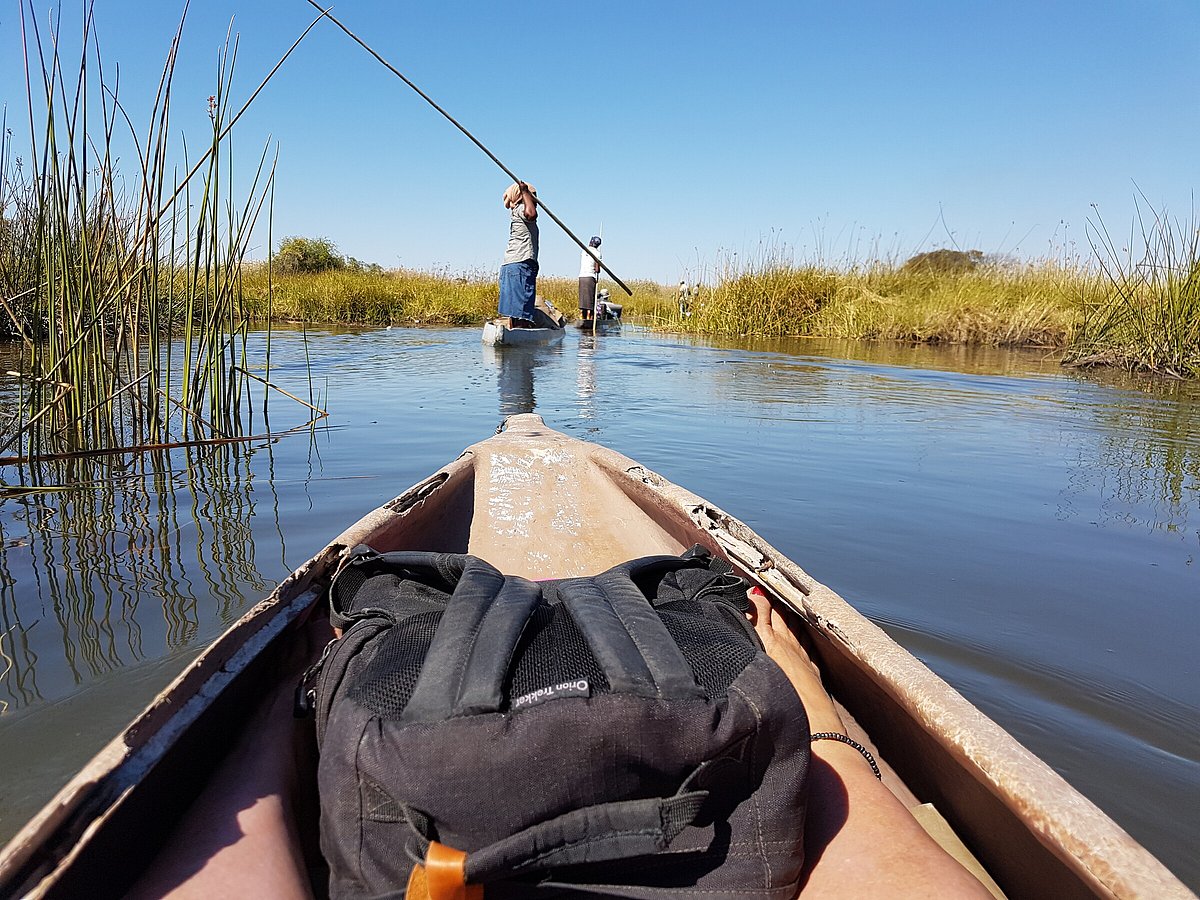 Southern Africa Safari | Roam Travel Adventures