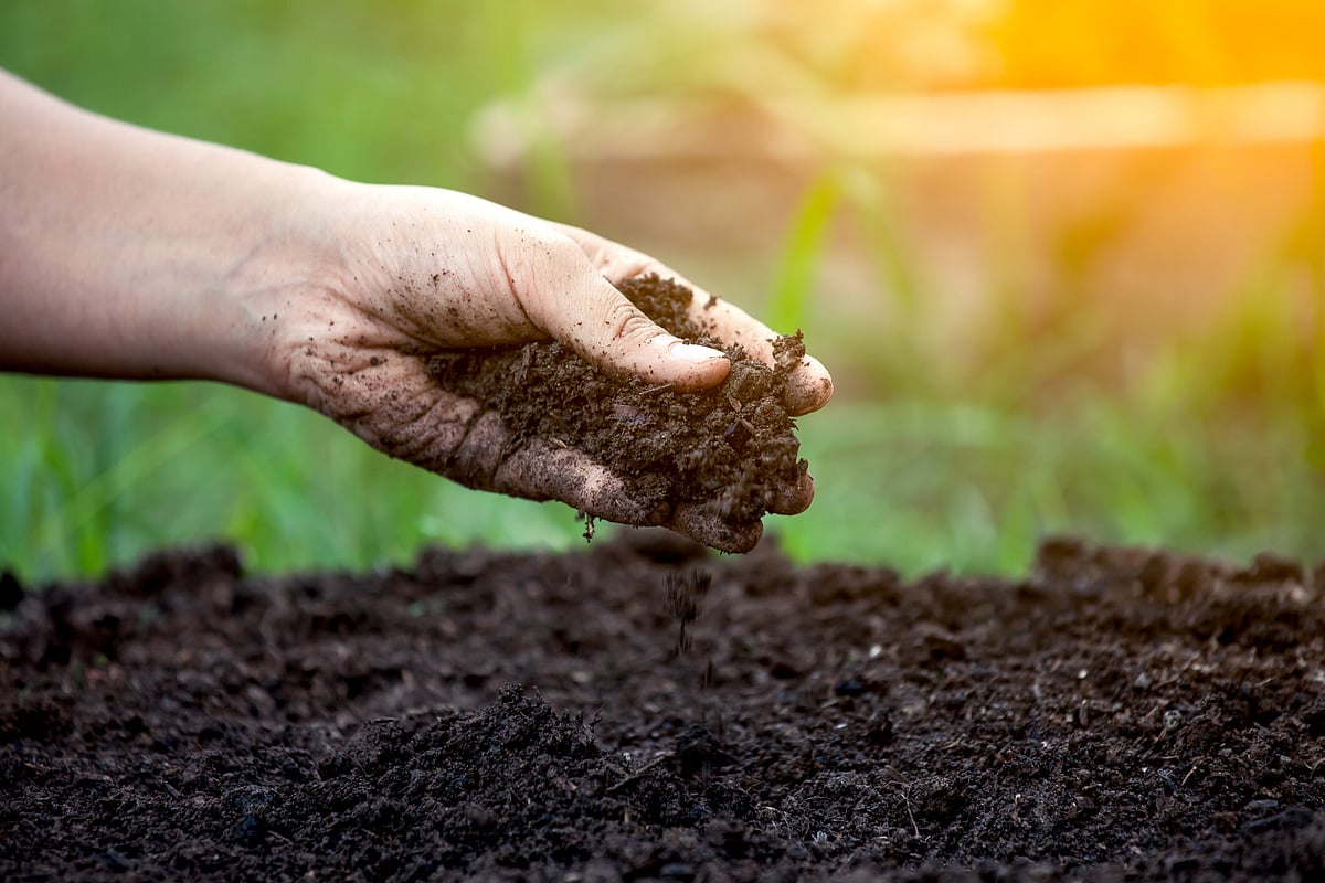 Unique Zeolite Soil Solutions Natural and Nutrient Loaded