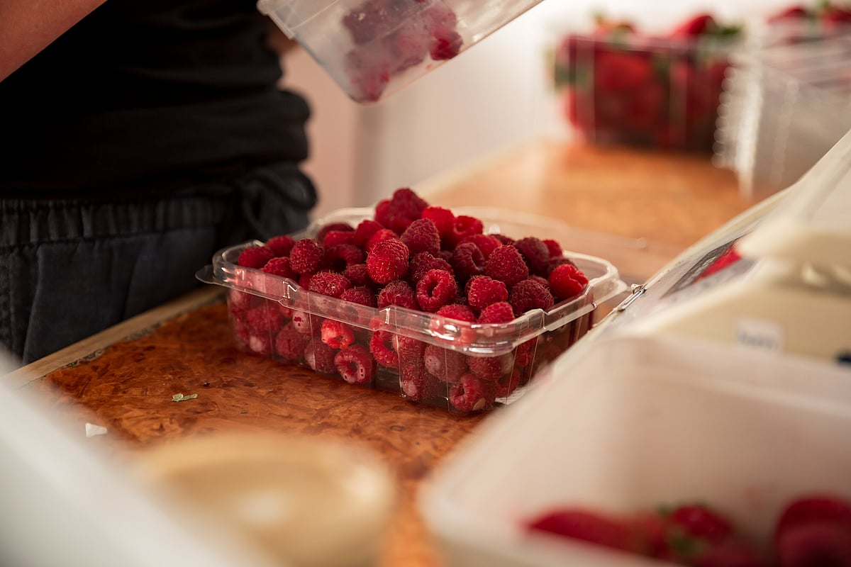 Our Berries | Piopio Berry Orchard in Piopio, NZ | Piopio Berry Orchard