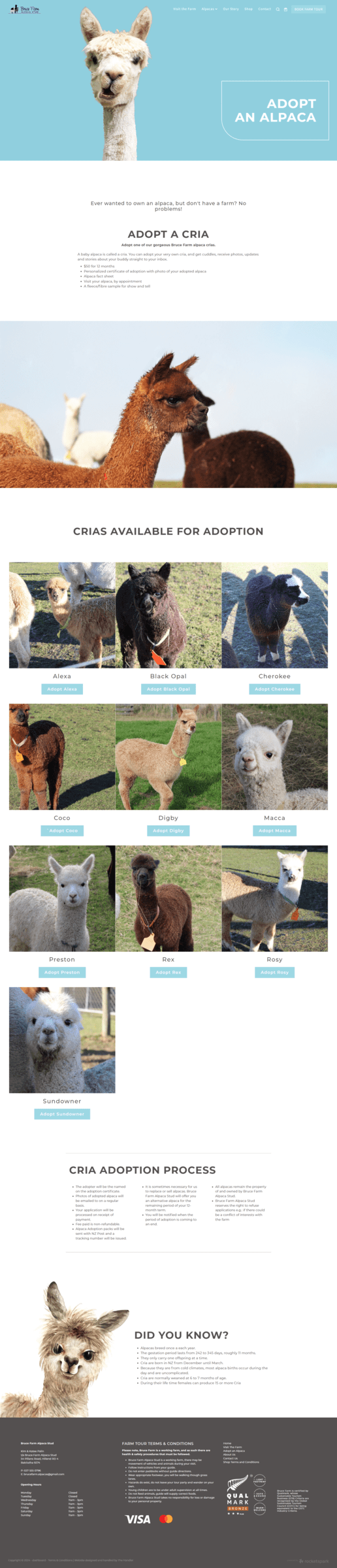 The Handler | Bruce Farm Alpacas - Website, Photography & Graphic Design