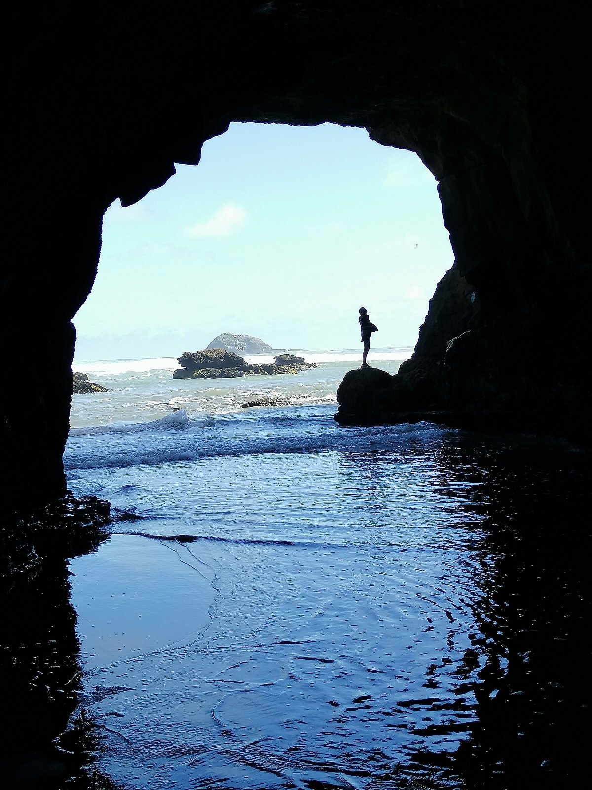 WANDERWALL New Zealand | Backyard NZ